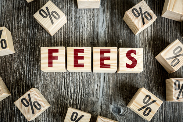 FITSI Fees